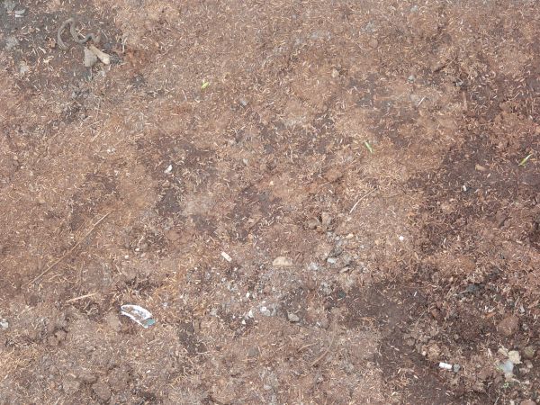 leaves on the ground texture 0039 - Texturelib